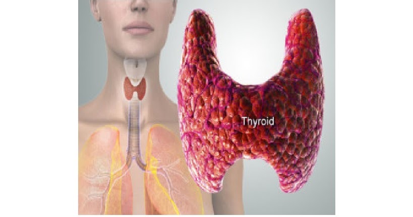 Novam Vitam: Hipothyroid