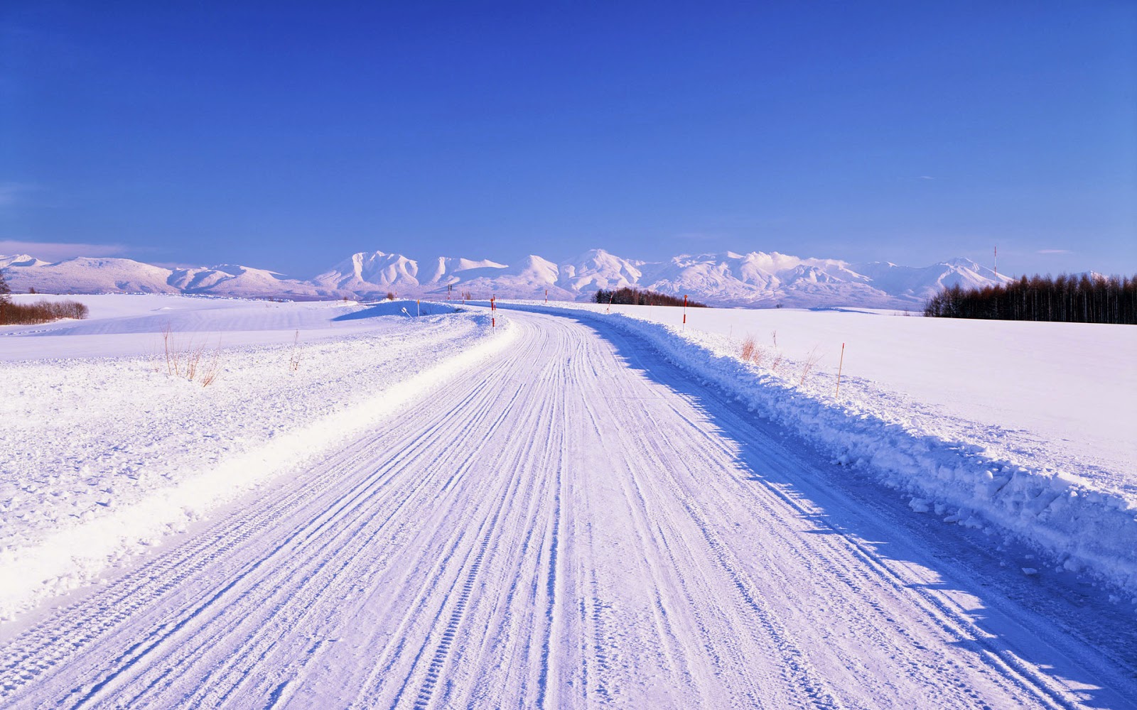 El desierto blanco ( Panoramio de Nieve ) - Fondos de Pantalla HD ...