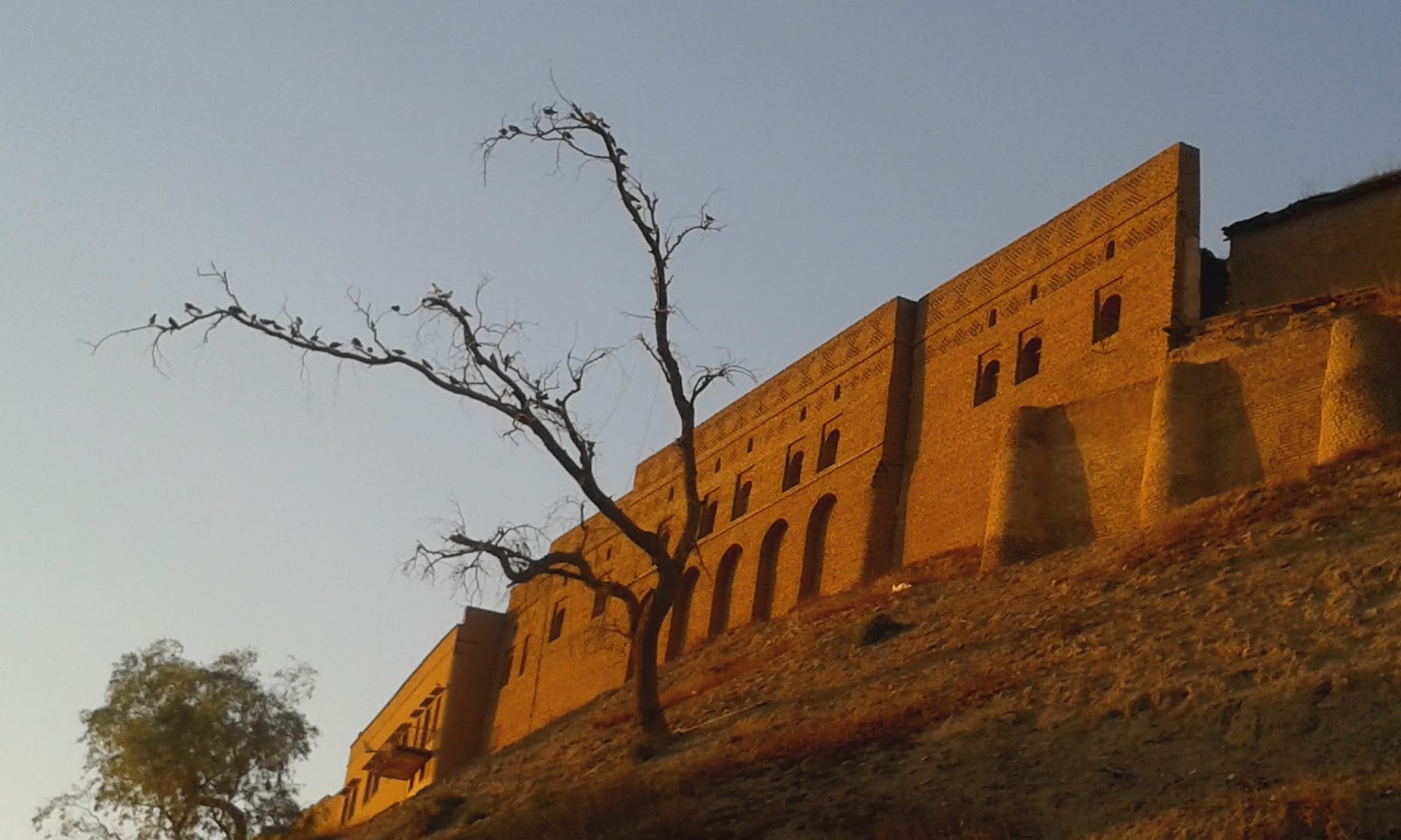 PJ IS AWAY : Hawler Citadel