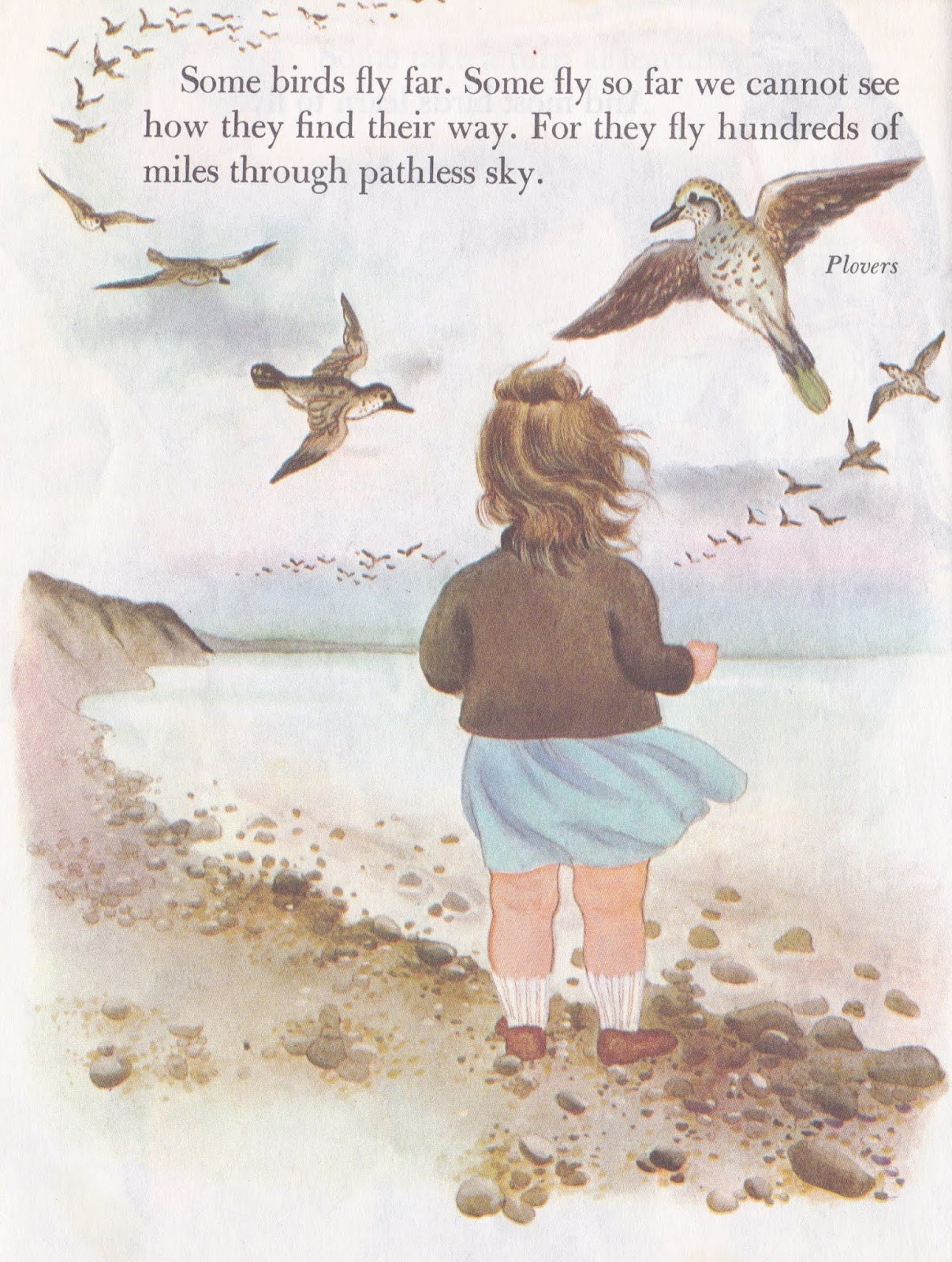 My Retro Reads: "Birds: A Child's First Book About Our Most Familiar ...