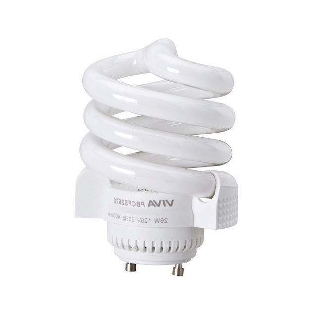 Viva Light Bulbs | Shelly Lighting