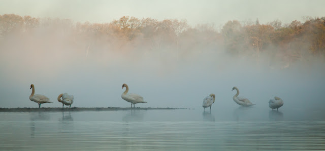 Lance M. Dickey Photography