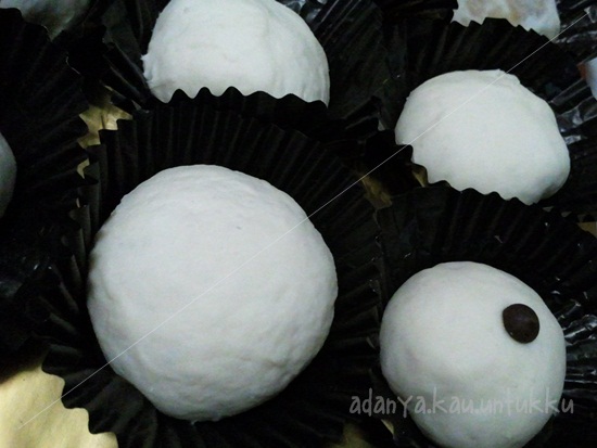 Adanya.Kau.Untukku: Resepi dan Cara Memasak Pau yang Mudah