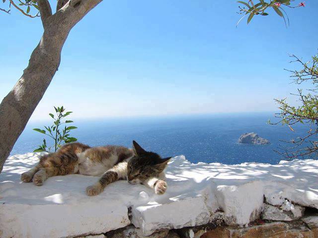 Online Yunanca: Yunanca Yeni Kelimeler #4