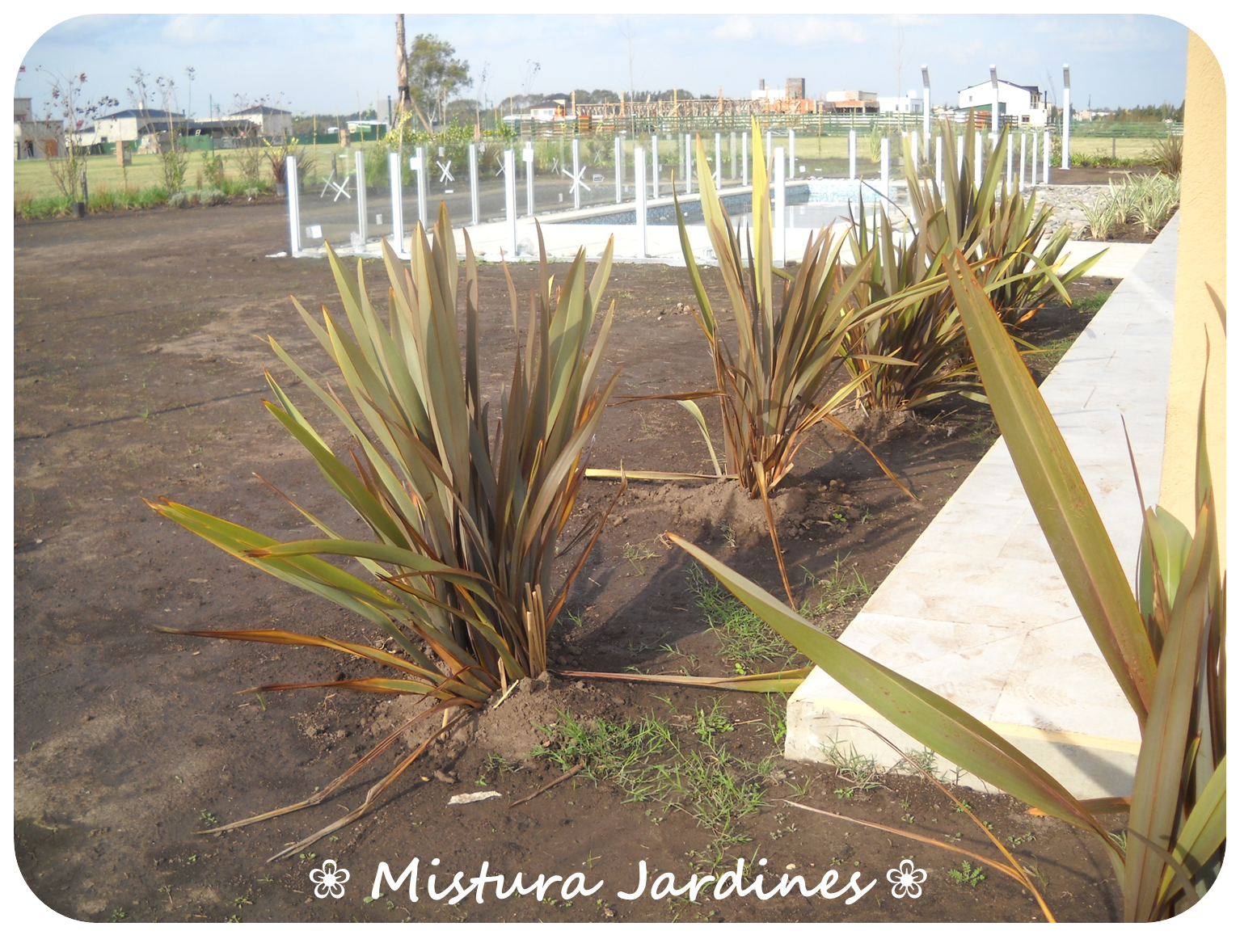 Mistura Jardines : El Rebenque (Segunda parte)