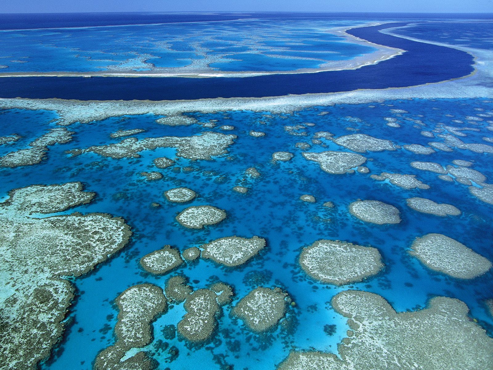 No1 Amazing Things: Great Barrier Reef