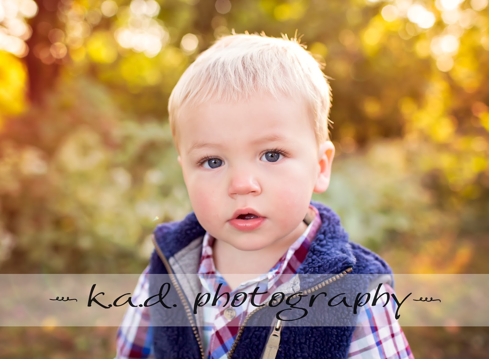k.a.d. photography--newborn, baby, infant, children, family ...