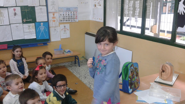 La Clase del Profe Pablo: aventuras y aprendizaje: EL SENTIDO DEL TACTO