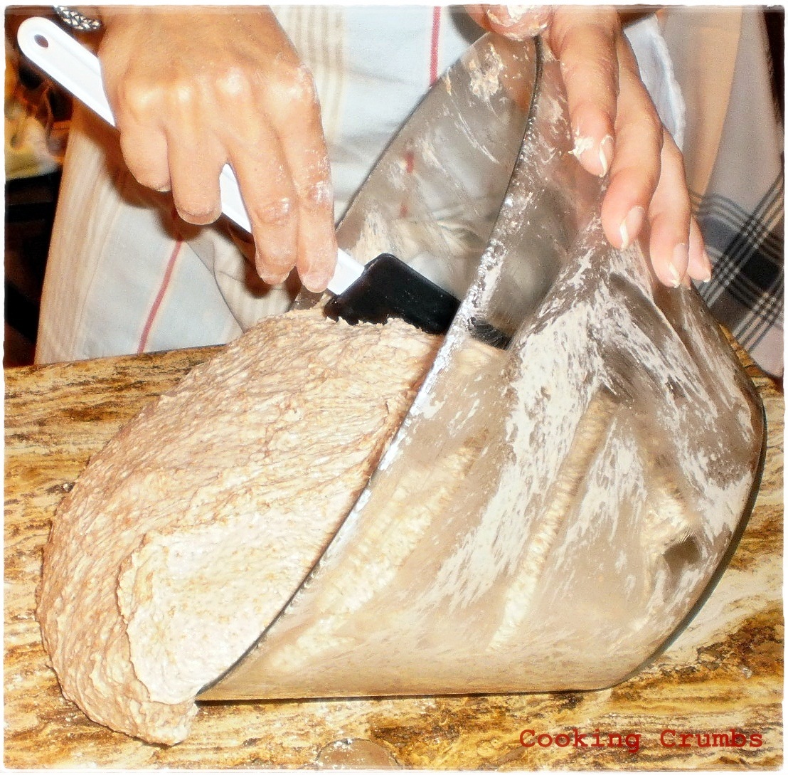 Cooking Crumbs: Prefermentos