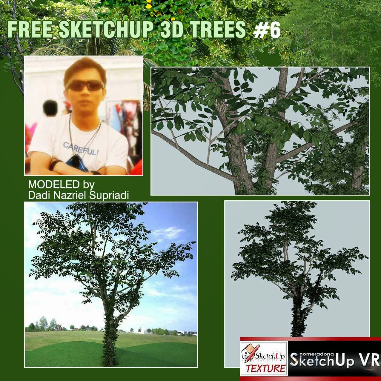 SKETCHUP TEXTURE: FREE SKETCHUP 3D MODEL TREE #6