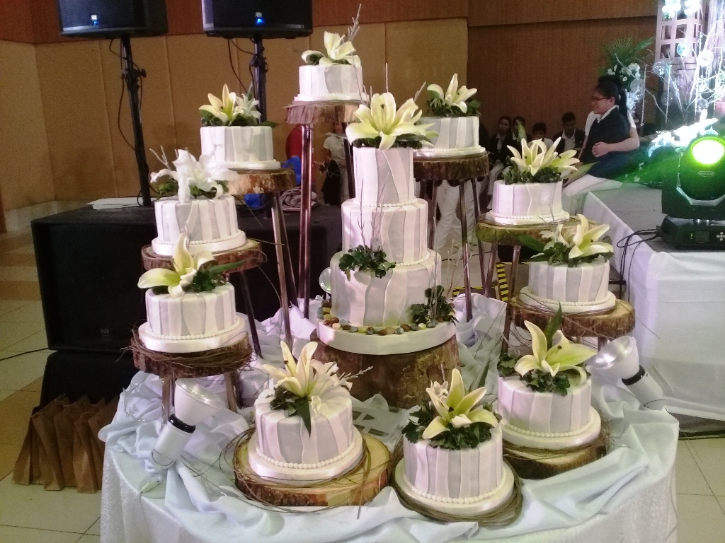 Bohol's Roving Eye: Alexis & Vi- anne Calipusan Renew their Marriage Vows