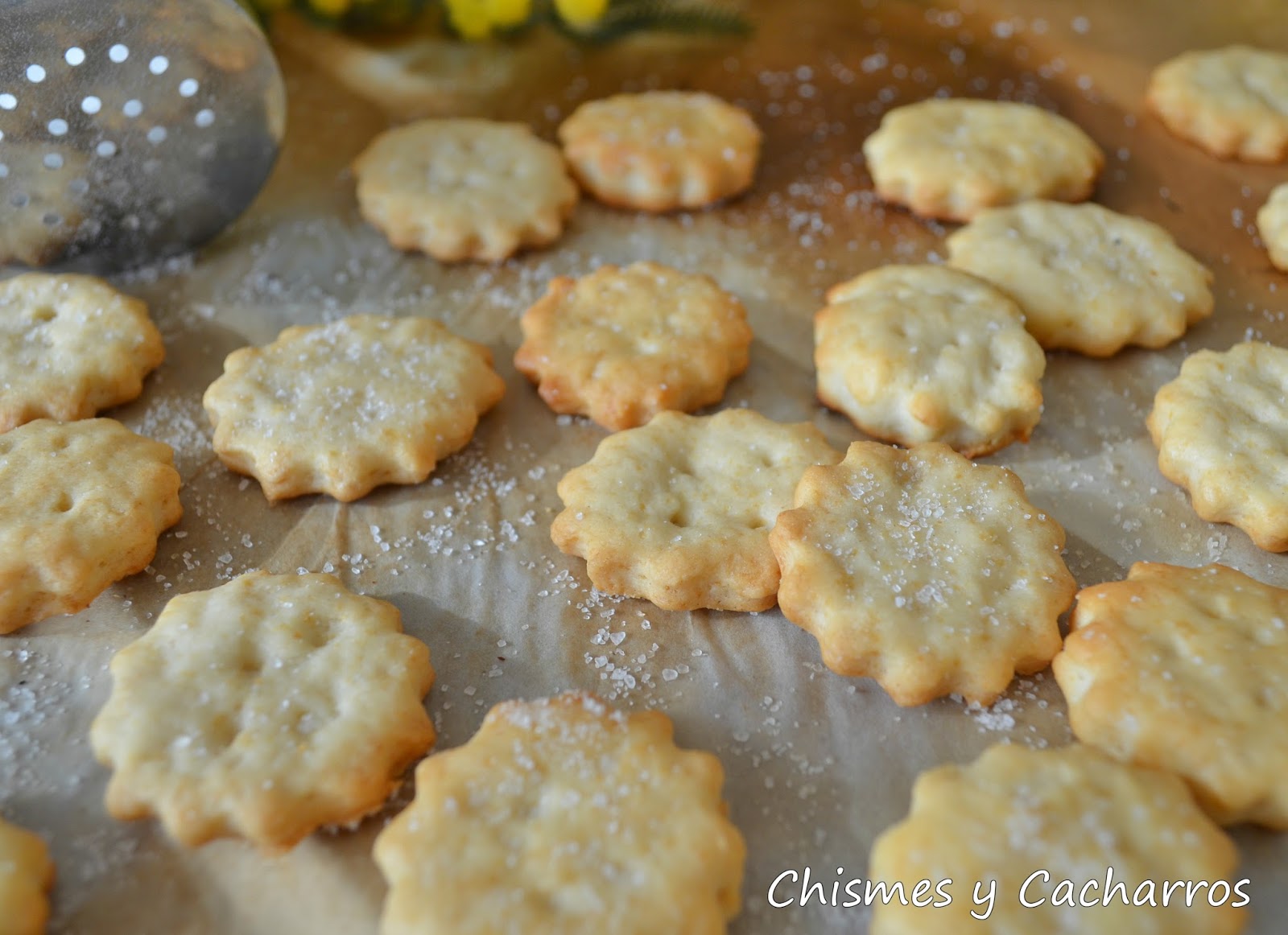 Galletas Saladas tipo Ritz - Chismes y Cacharros