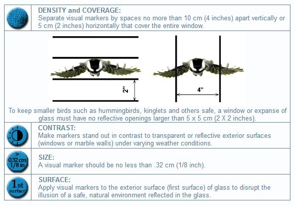 EcoFriendly Sask: Keep Birds Safe by Bird-Proofing Your Windows