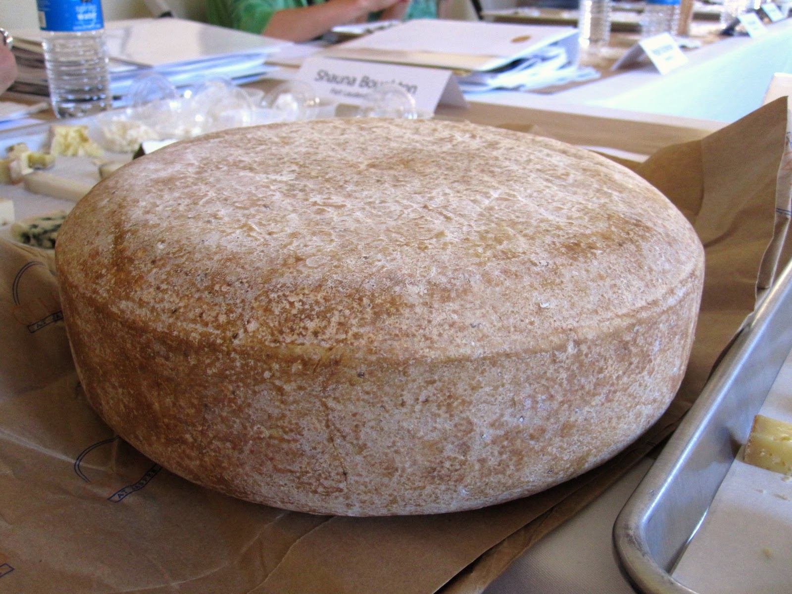 Fly On Little Wing: The Cheese School San Francisco - Day 1