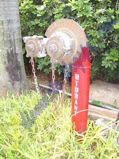 Siamese Connection | Fire Hydrant Building Construction System | Dion Mloto