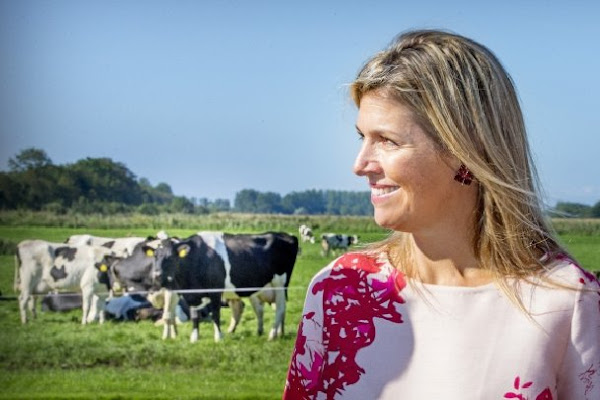 Queen Maxima visits cheese factory and farm in Friesland