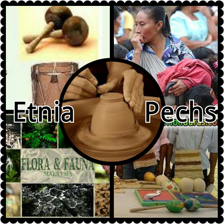 Etnia Pech | Lenguas y Culturas