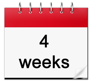 Leave the European Union: Four Weeks to go