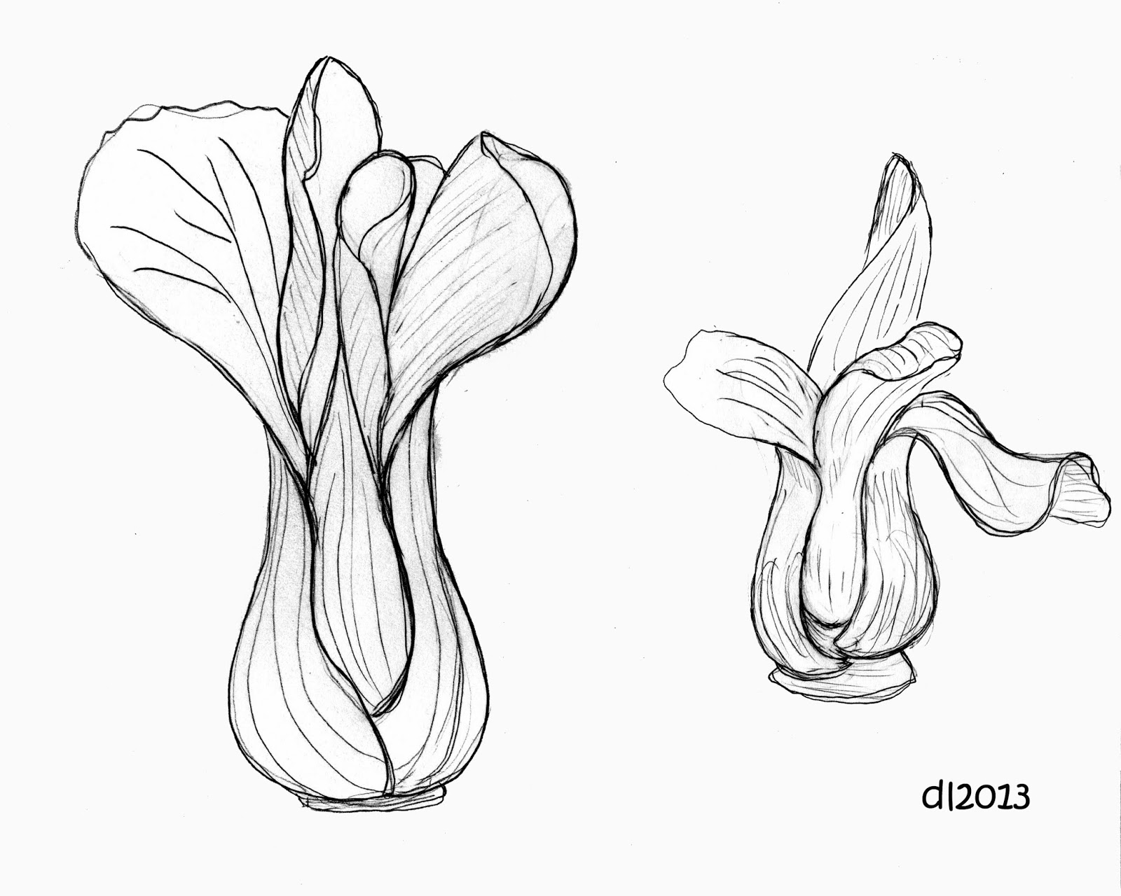 How To Draw Bok Choy Step By Step Easy Drawing Guides Drawing Howtos ...