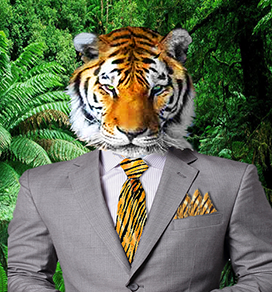 About Neckties ‐ Buy Novelty Ties