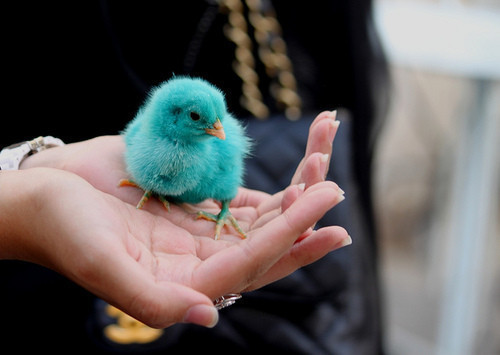 EVERY SINGLE ONE GOT A STORY TO TELL