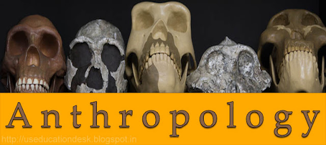 Anthropology - Whitman College - usa-collages-lilliankitchen