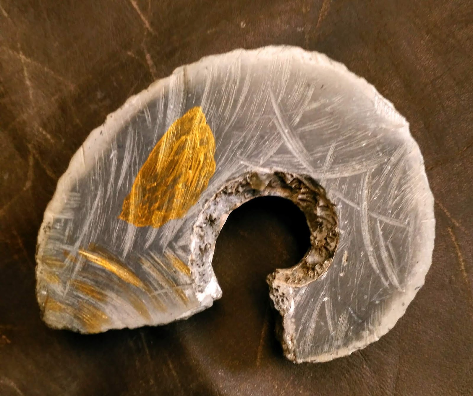 ギター製作家の視点: Fake ammonite そしてタケノココワイ