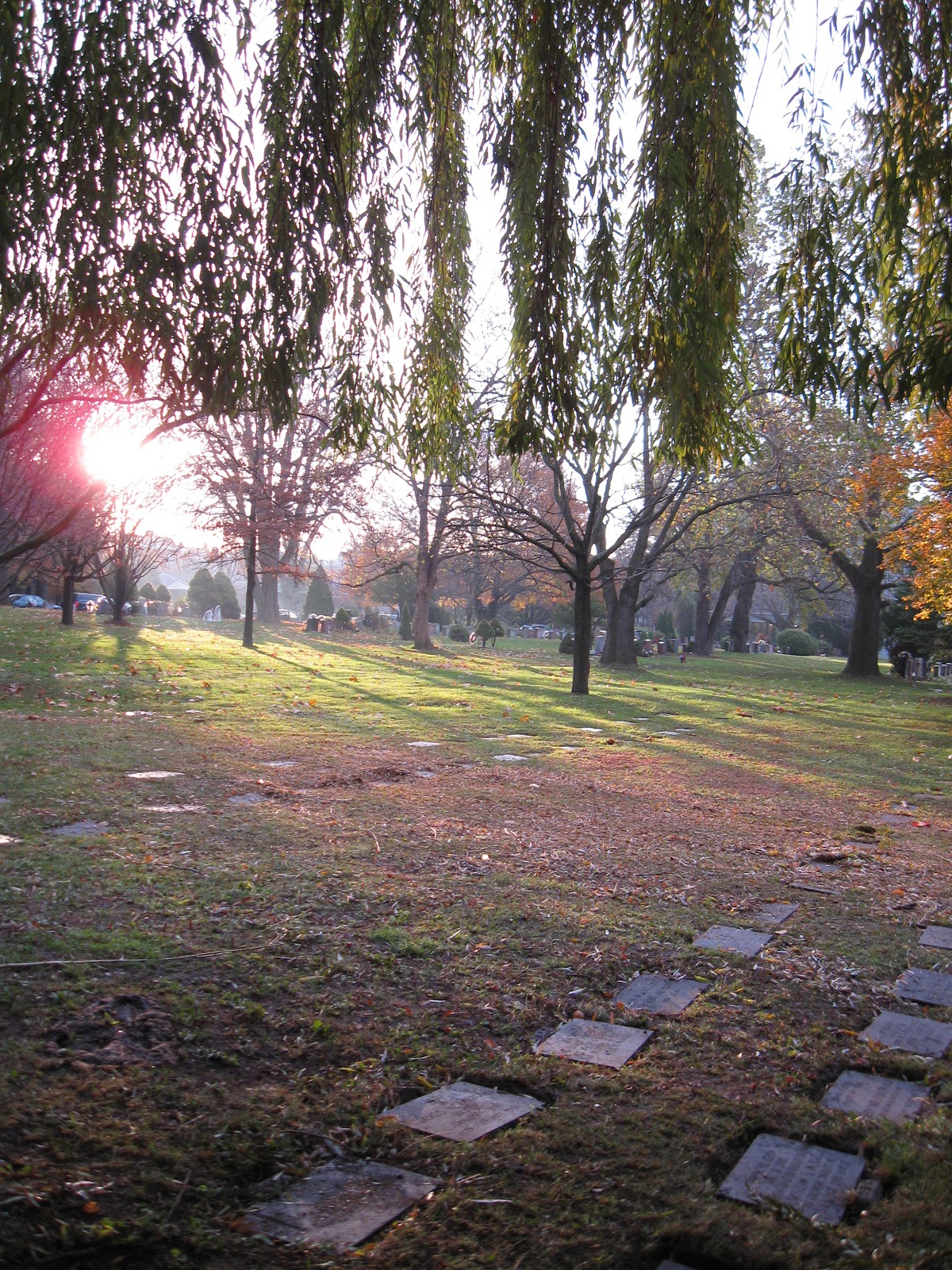 Joan Tintor: Photo Essay: Remembrance Day, Prospect Cemetery, Toronto