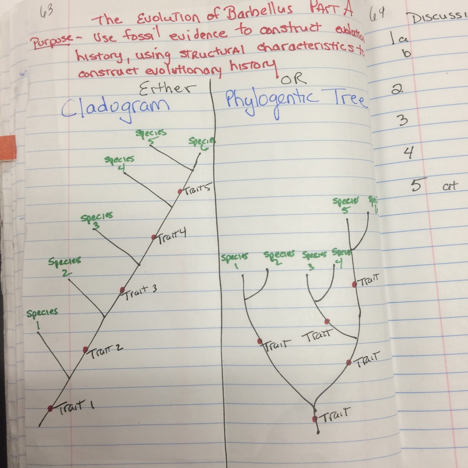 Mrs. Greeley Howard’s Biology Class: Cladogram and Phylogenetic Trees