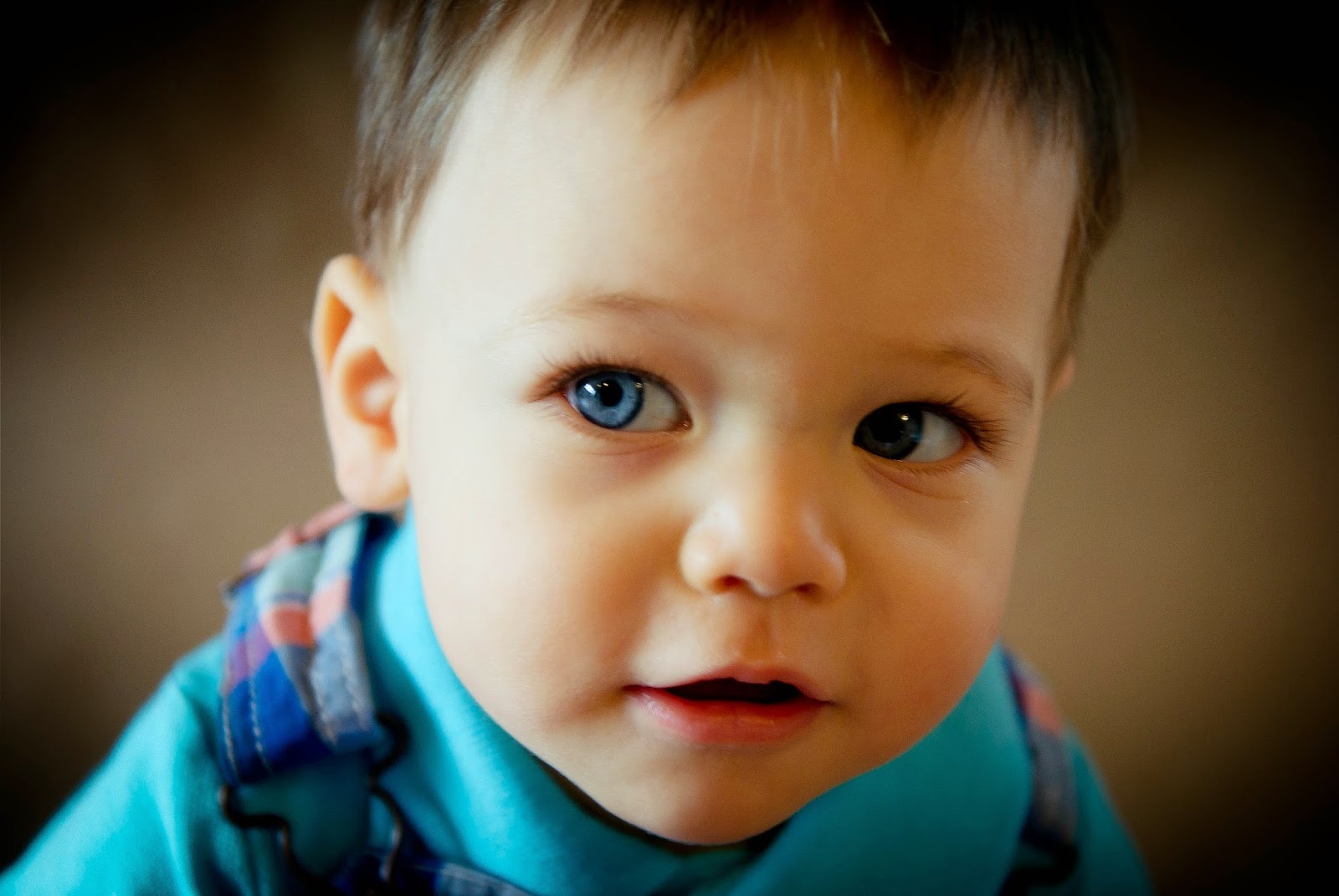 Sew Snappy Productions: Victor's 1st Birthday Shoot