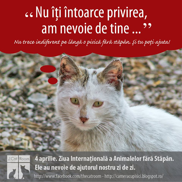 Camera cu Pisici - The Cat Room: 4 Aprilie ziua internationala a ...