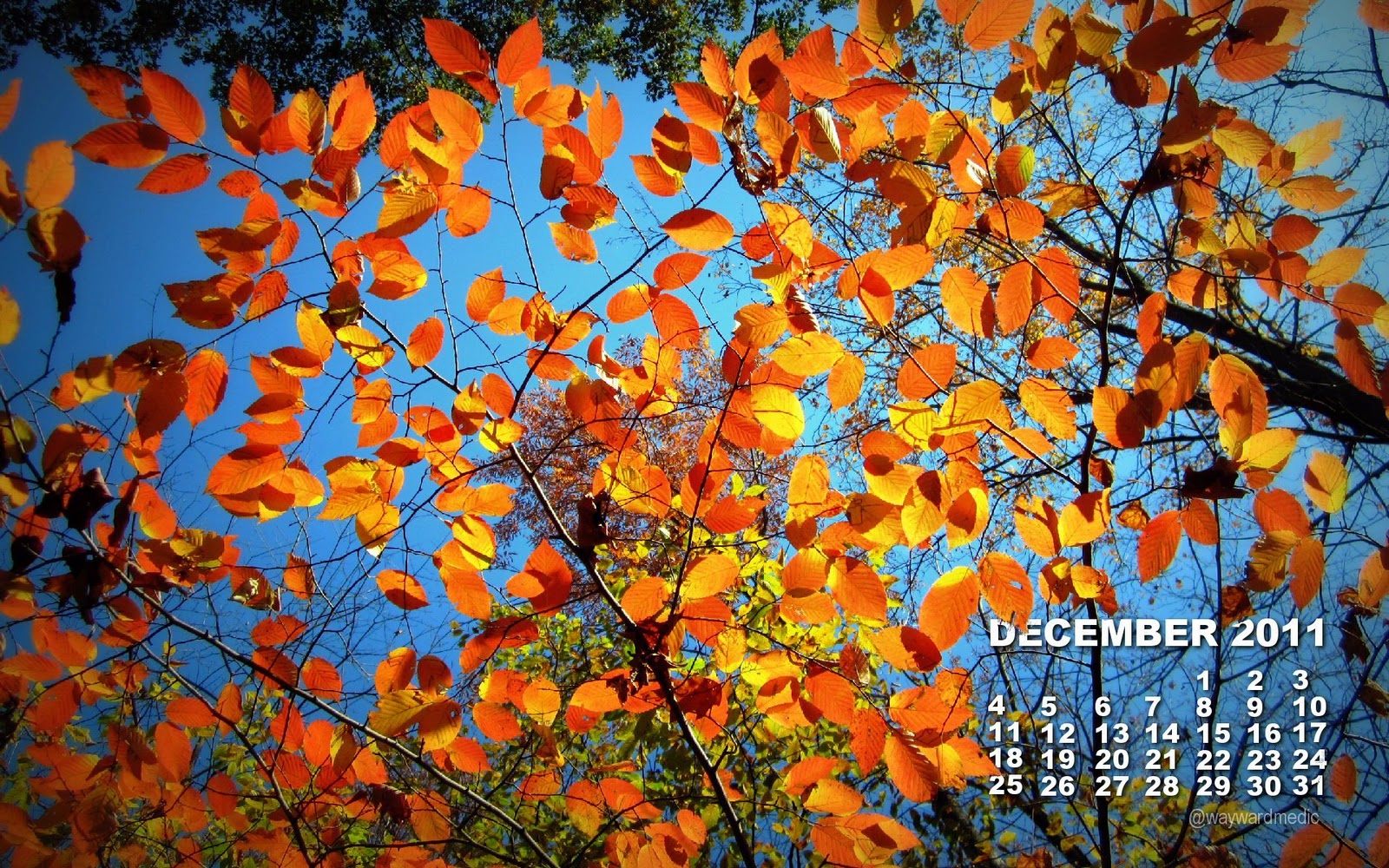 Impress Moment: DeCeMBeR 2011 DeSKToP WaLLPaPeR CaLenDaR