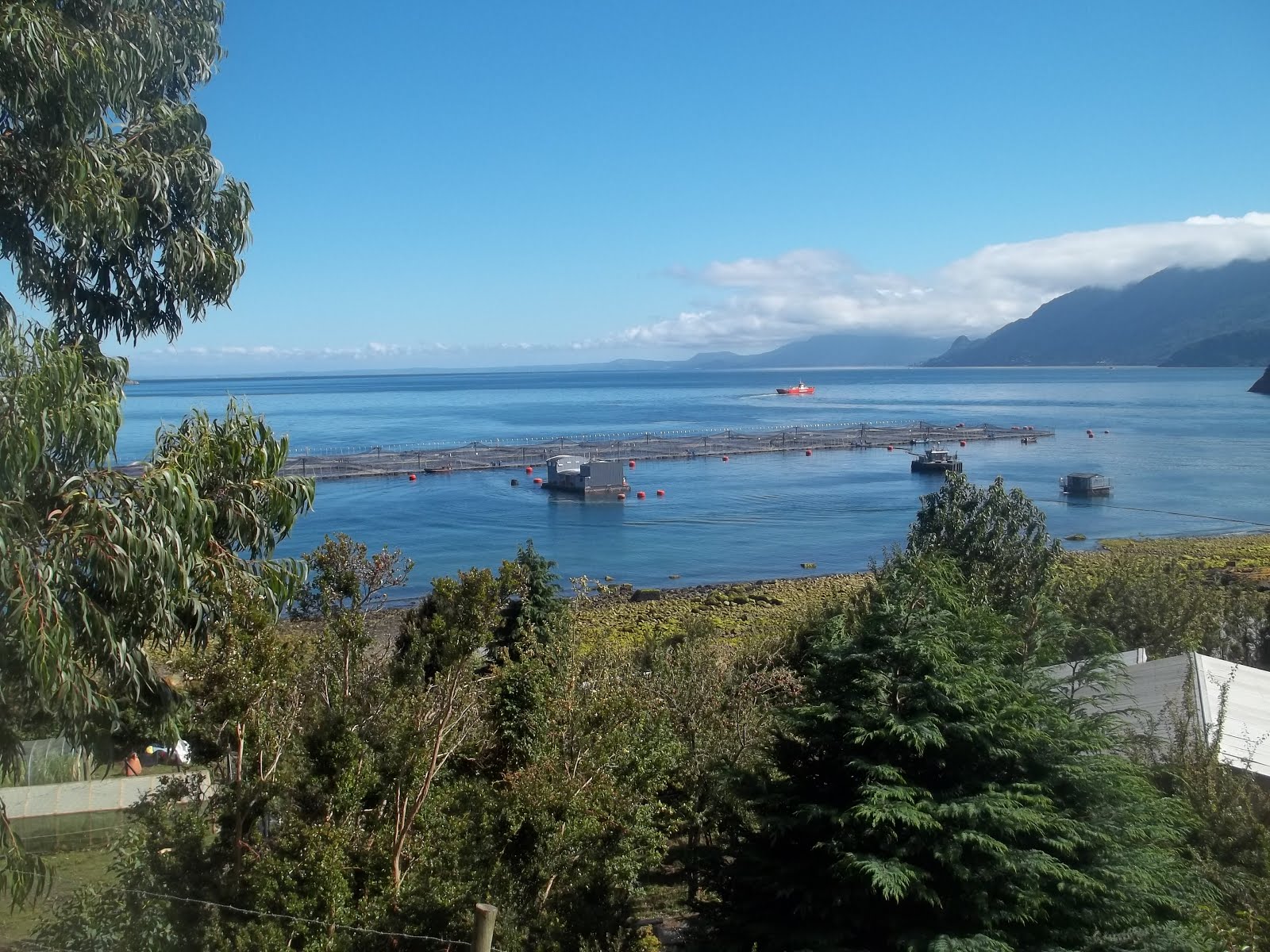 Solo y En Cleta!: Martes, 09 de Febrero 2016 (Día 2) Caleta Pueche ...