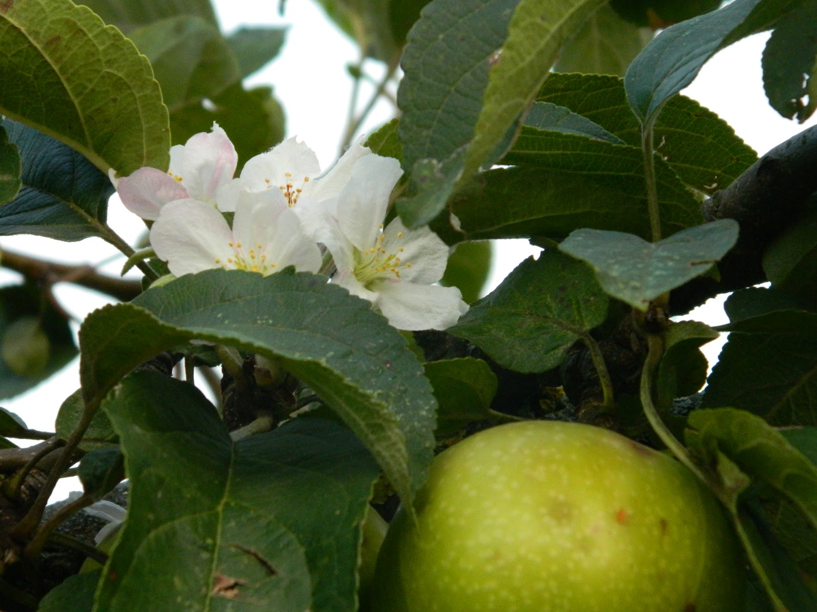 De vorba cu mine însumi: 01.08.2018 - 01.09.2018