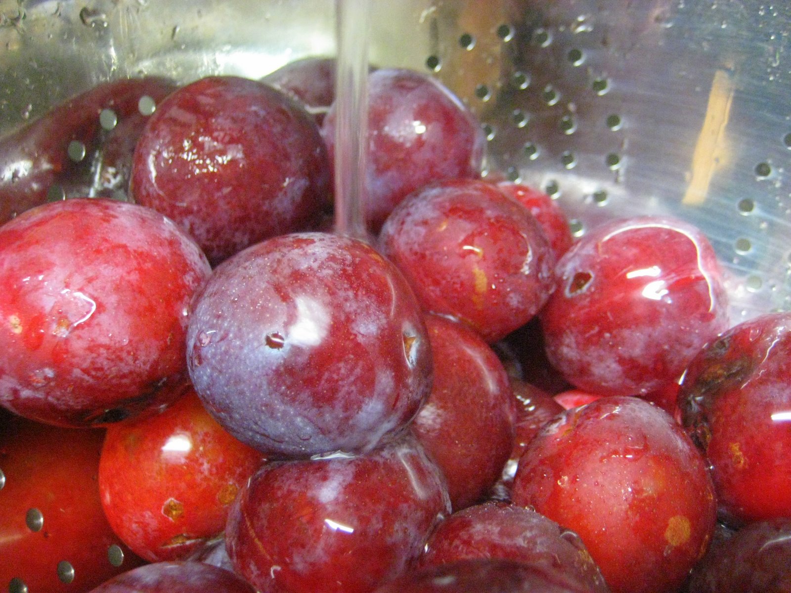 "Put a Lyd on it!": This is just to say... (Plum Syrup)