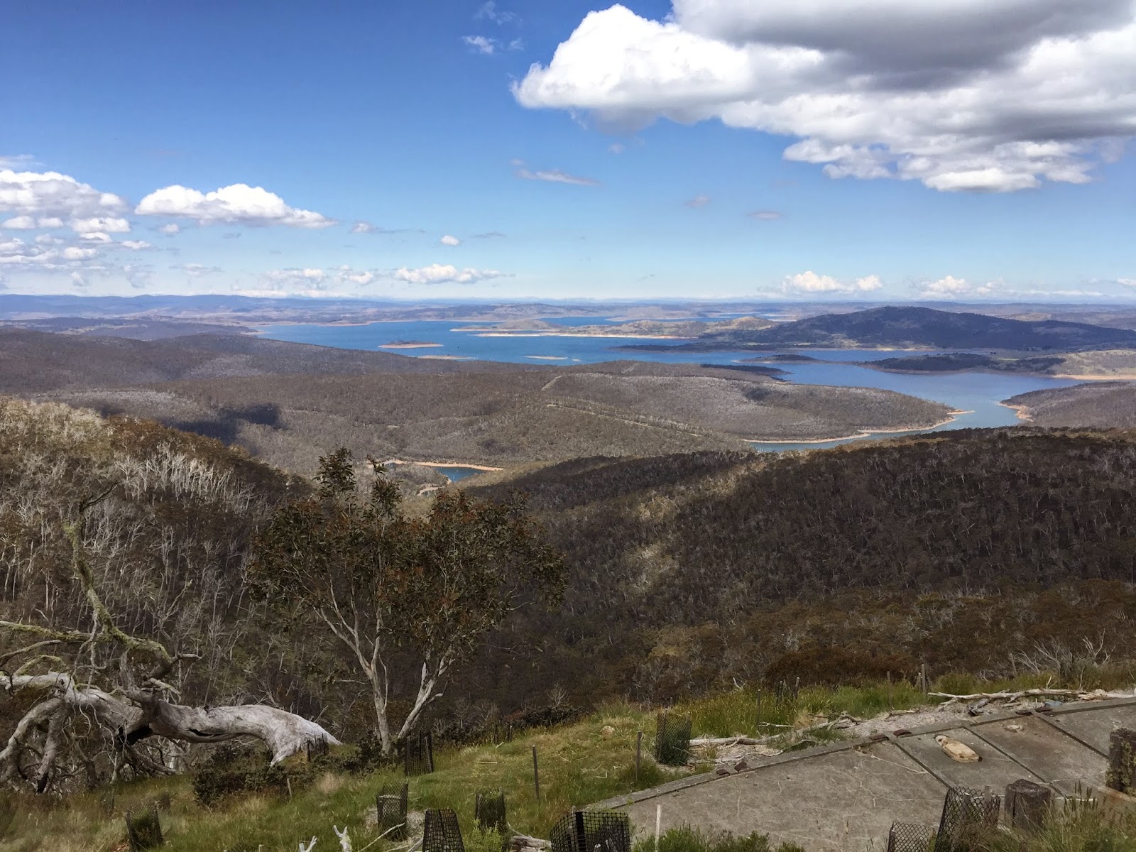 David Boyd's Blog: Snowy Scheme