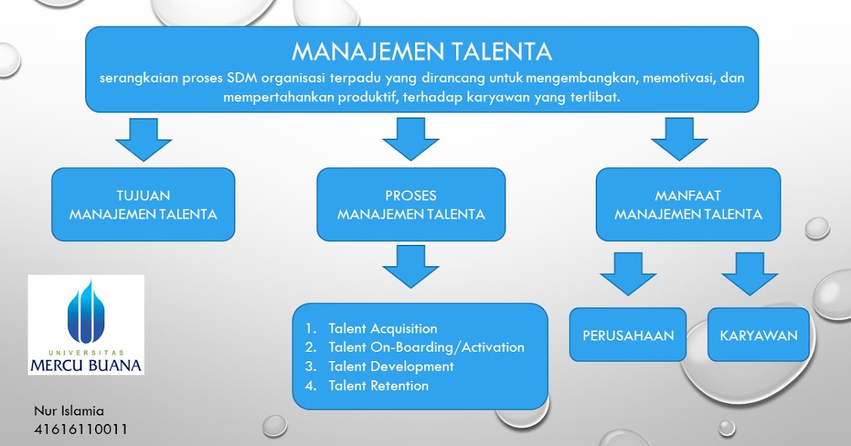 MSDM123.com: Manajemen Talenta