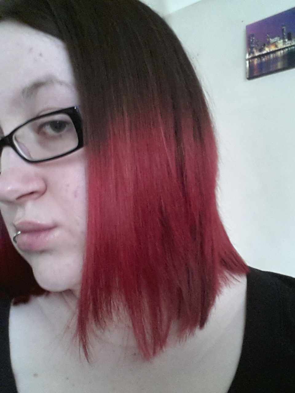 Raspberry Rebel - Does My Blog Make Me Look Fat?