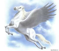 Záhady a jevy: Pegas