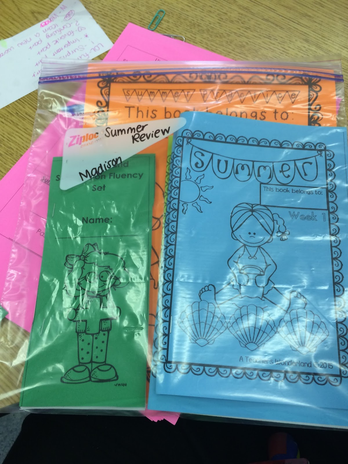 A Teachers Wonderland: Summer Slide