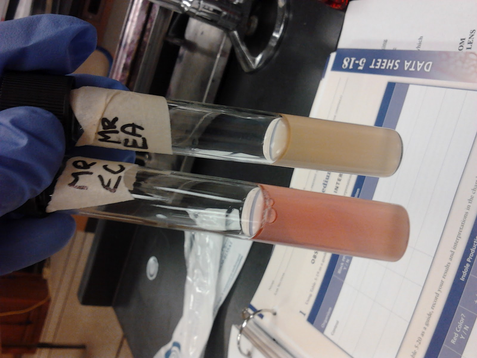 Microbiology Ejournal