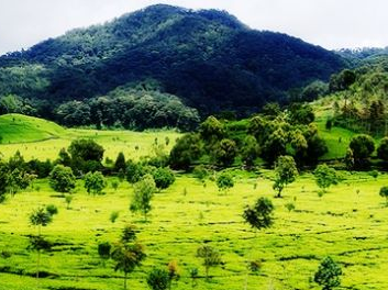Pemandangan Taman Wisata Rancabali