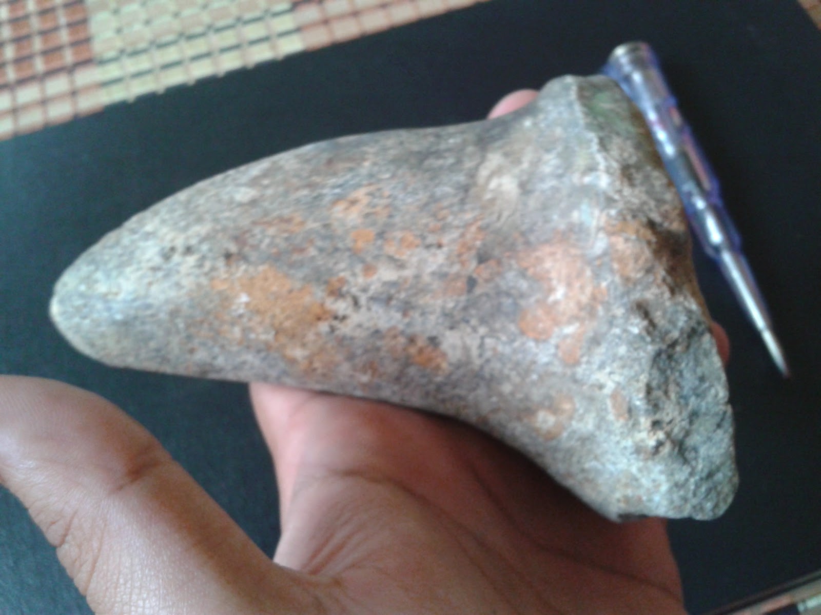 MISTIK 707 CORNER: FOSSIL GAJAH ZAMAN PRASEJARAH DAN SUMBU BADAK JADI BATU