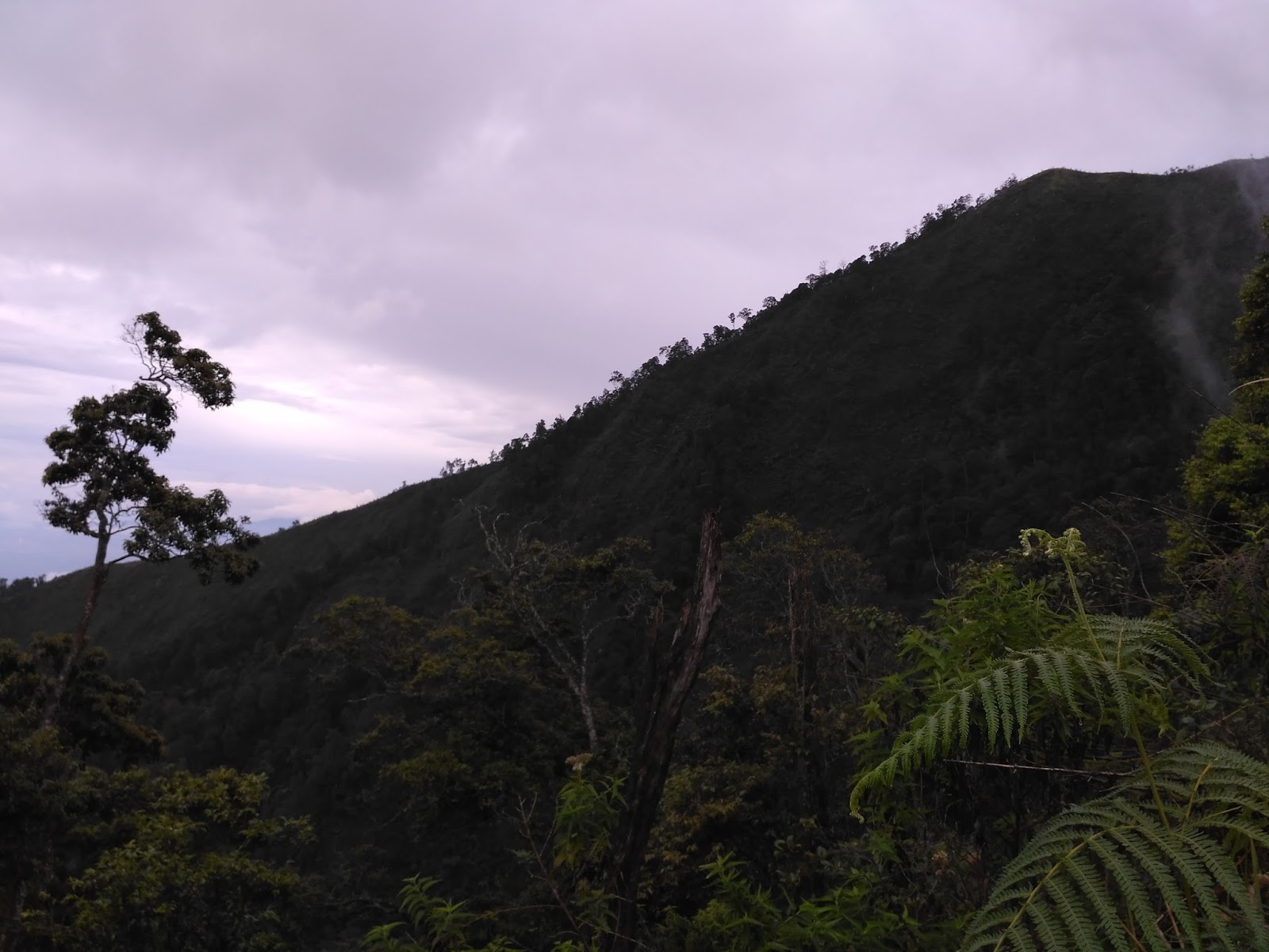 Puncak Mega Gunung Puntang 2222 Mdpl di Bandung Selatan