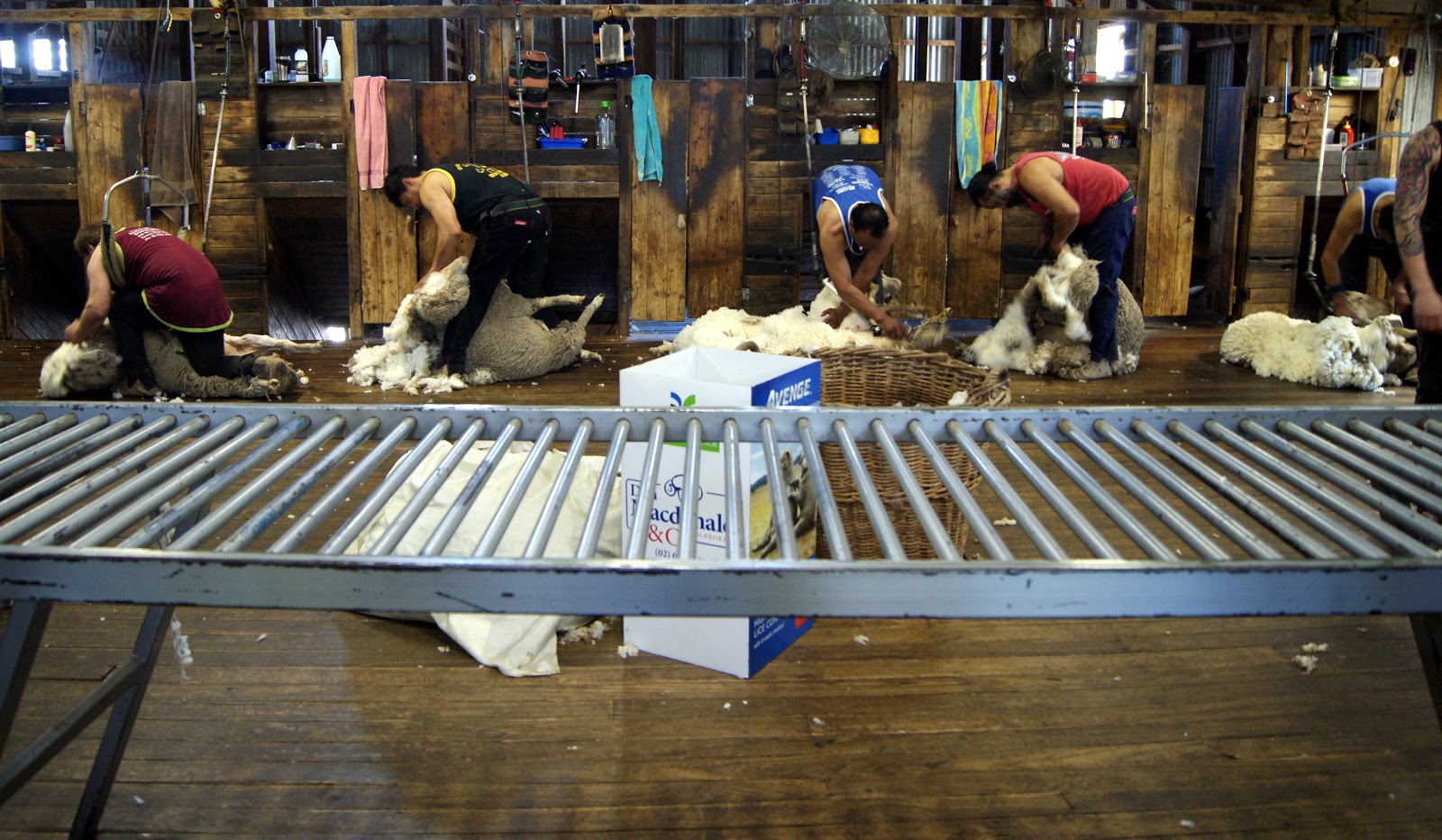 One Farm Day: Wool Classer - Graham Traves