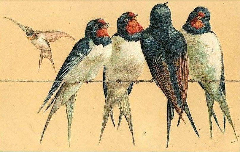 Quando il Natale era bianco... e ogni stagione aveva una storia da ...