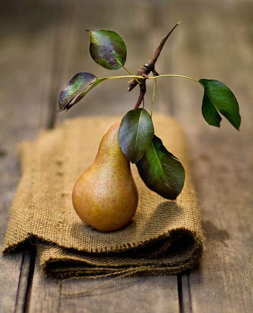 Decor de toamna – Art Living