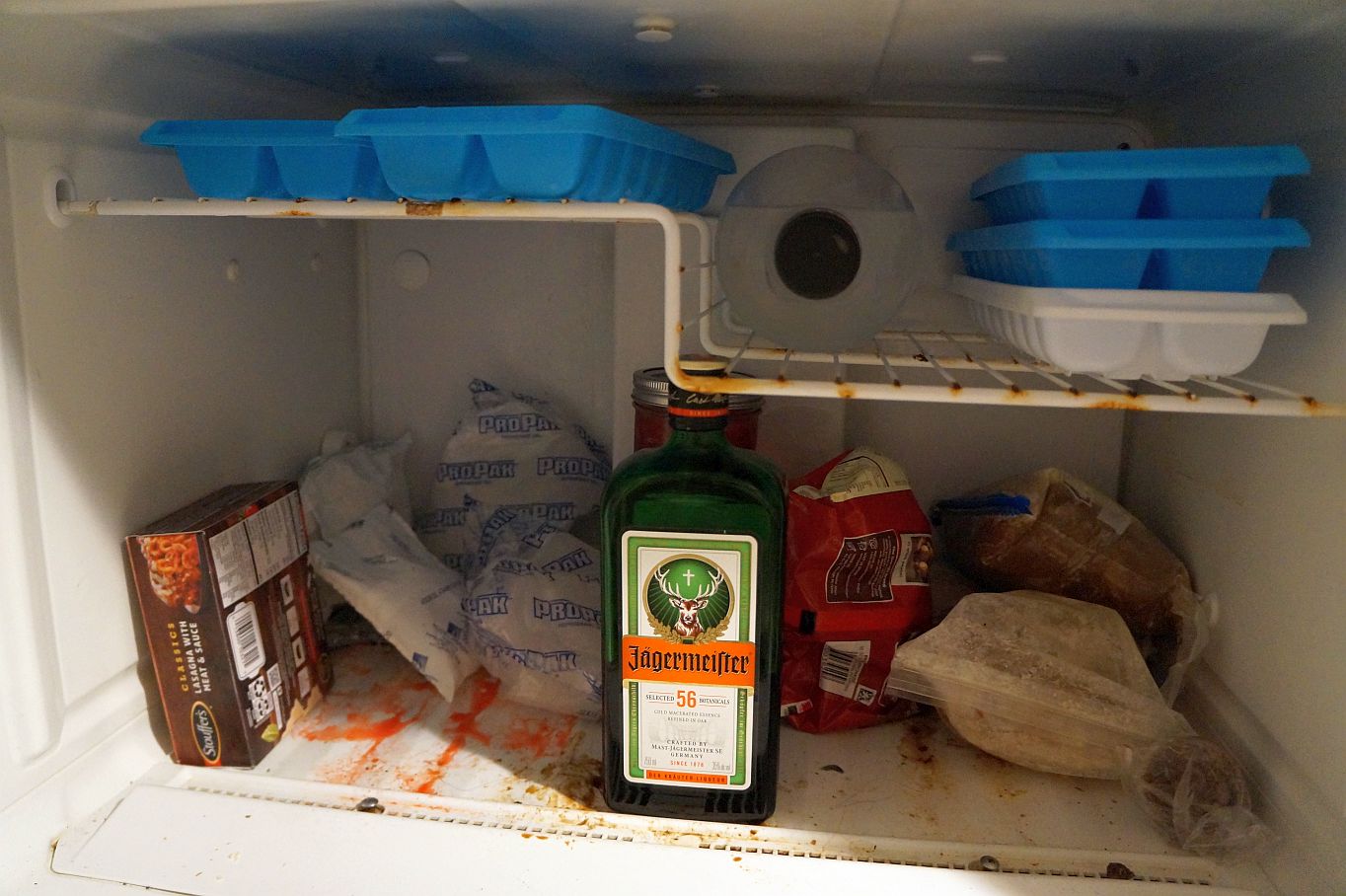 The Tucson Homeskillet: The Great Pantry (and Fridge) Purge!