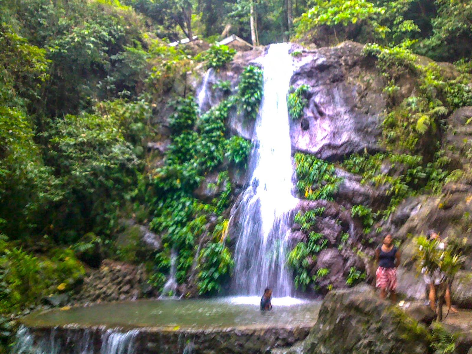 Wandering Den: Madella Falls | How to get there