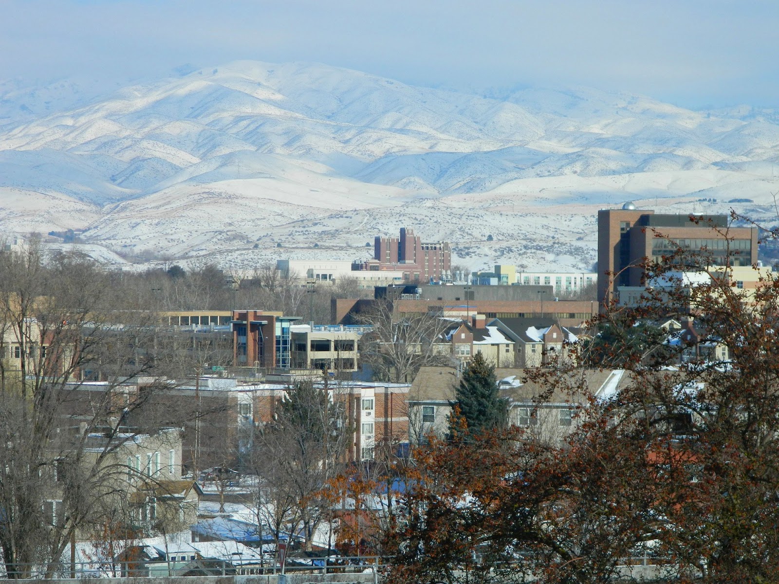 Living in Idaho: Winter in Boise Jan/2013